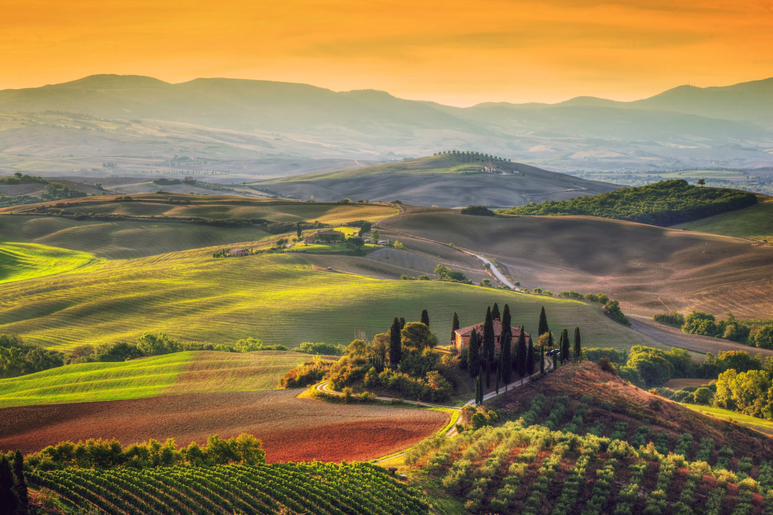 Thank You for Contacting Us - Tuscany Tours